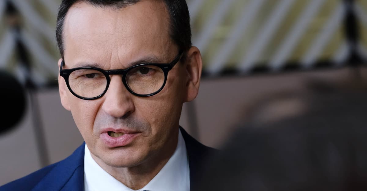 Afera RARS. Była szefowa kancelarii Morawieckiego zwolniona z aresztu tymczasowego