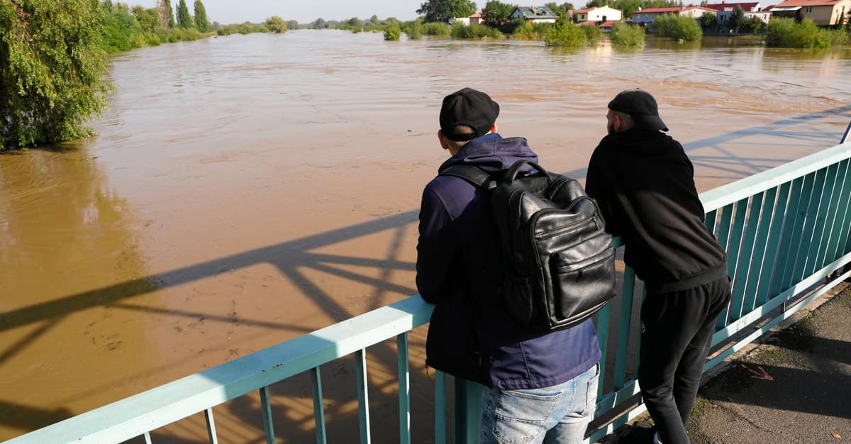 Stan Odry w Oławie i Brzegu przekracza 7 metrów. Miasta walczą z wielką ...