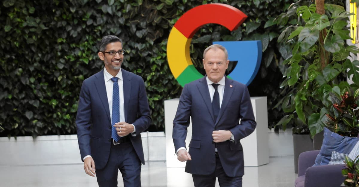 NGO-sy apelują do rządu, by poparł podatek cyfrowy - OKO.press