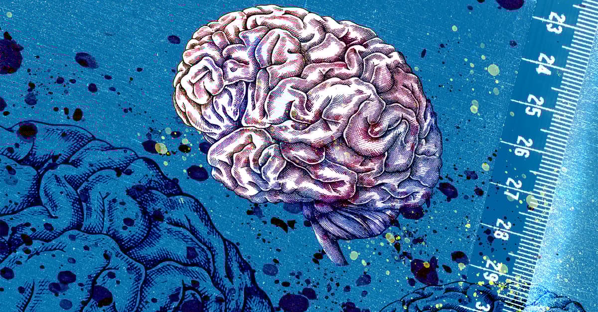 Czy ludzkie mózgi się zmniejszają? Bo rozmiar już się nie liczy? - OKO.press