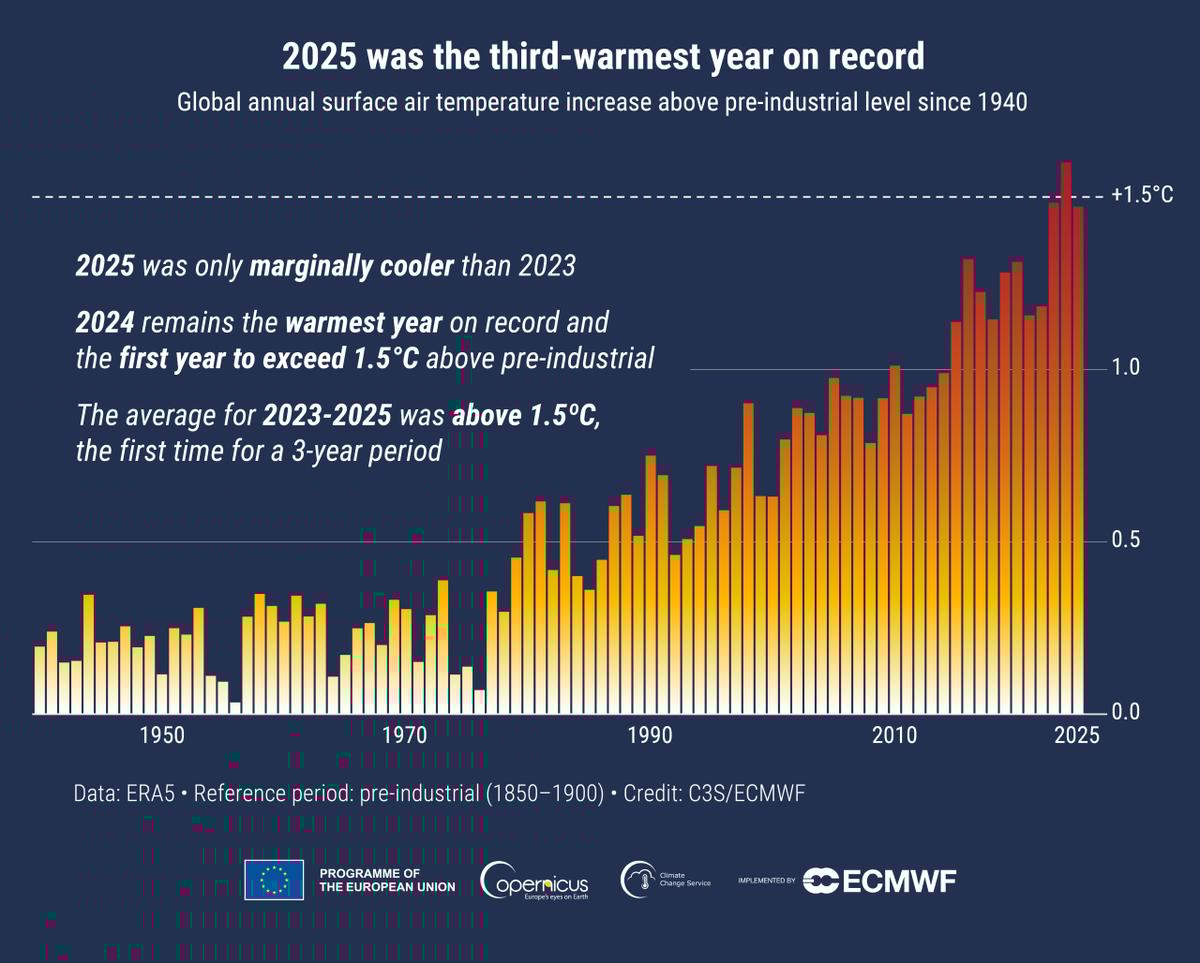 2025 to kolejny rok kryzysu klimatycznego. A w Sejmie festiwal zaprzeczeń marszałka Bosaka - OKO ...