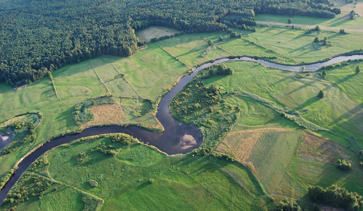 Na Pisie ma powstać szlak wodny. Za fantazję żeglarzy zapłaci przyroda ...