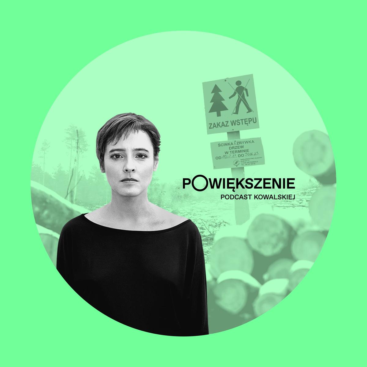 Czy Lasy Państwowe są nie do ruszenia? - OKO.press